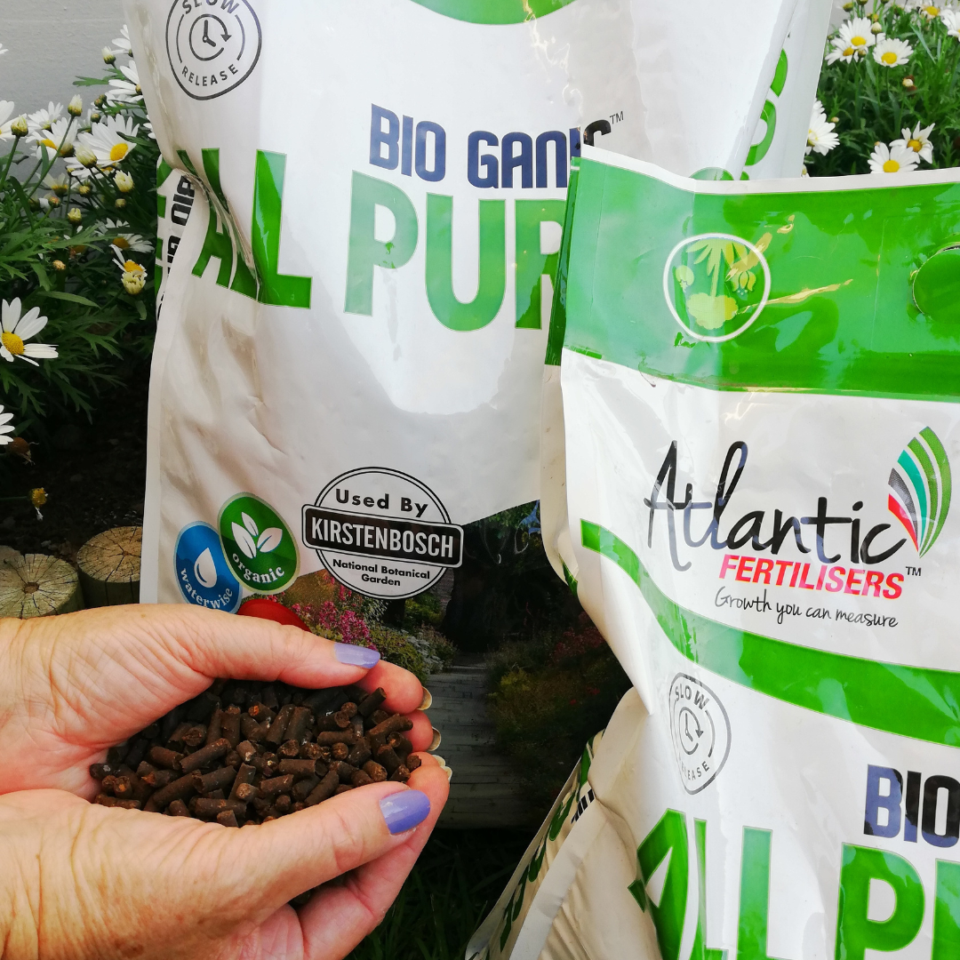 BIO GANIC All Purpose Organic Fertiliser – Good Roots Store