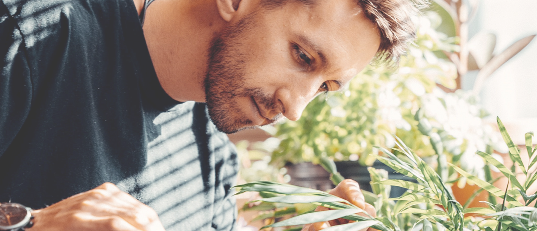 Contact – Good Roots Store