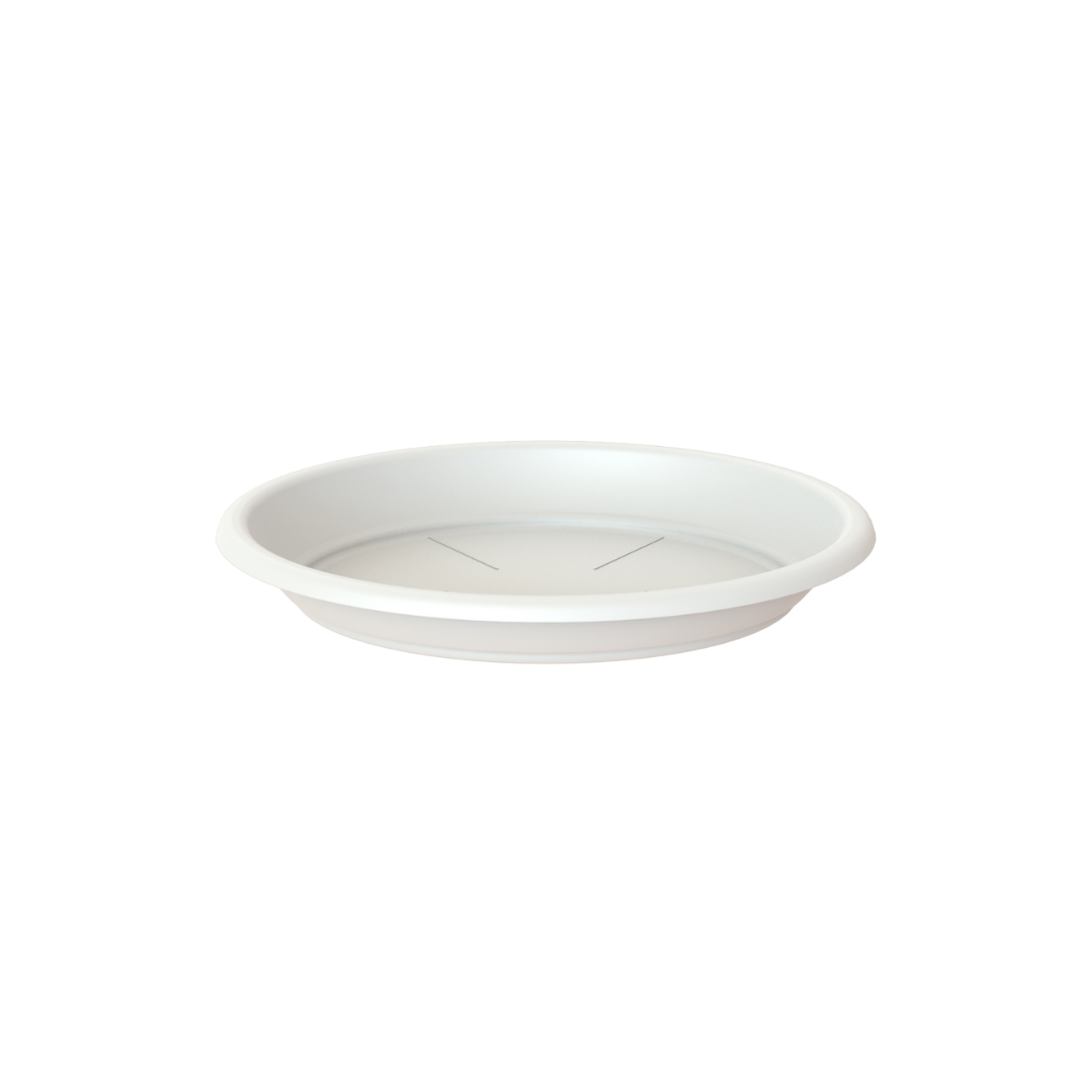 Capri Saucer – Good Roots Store